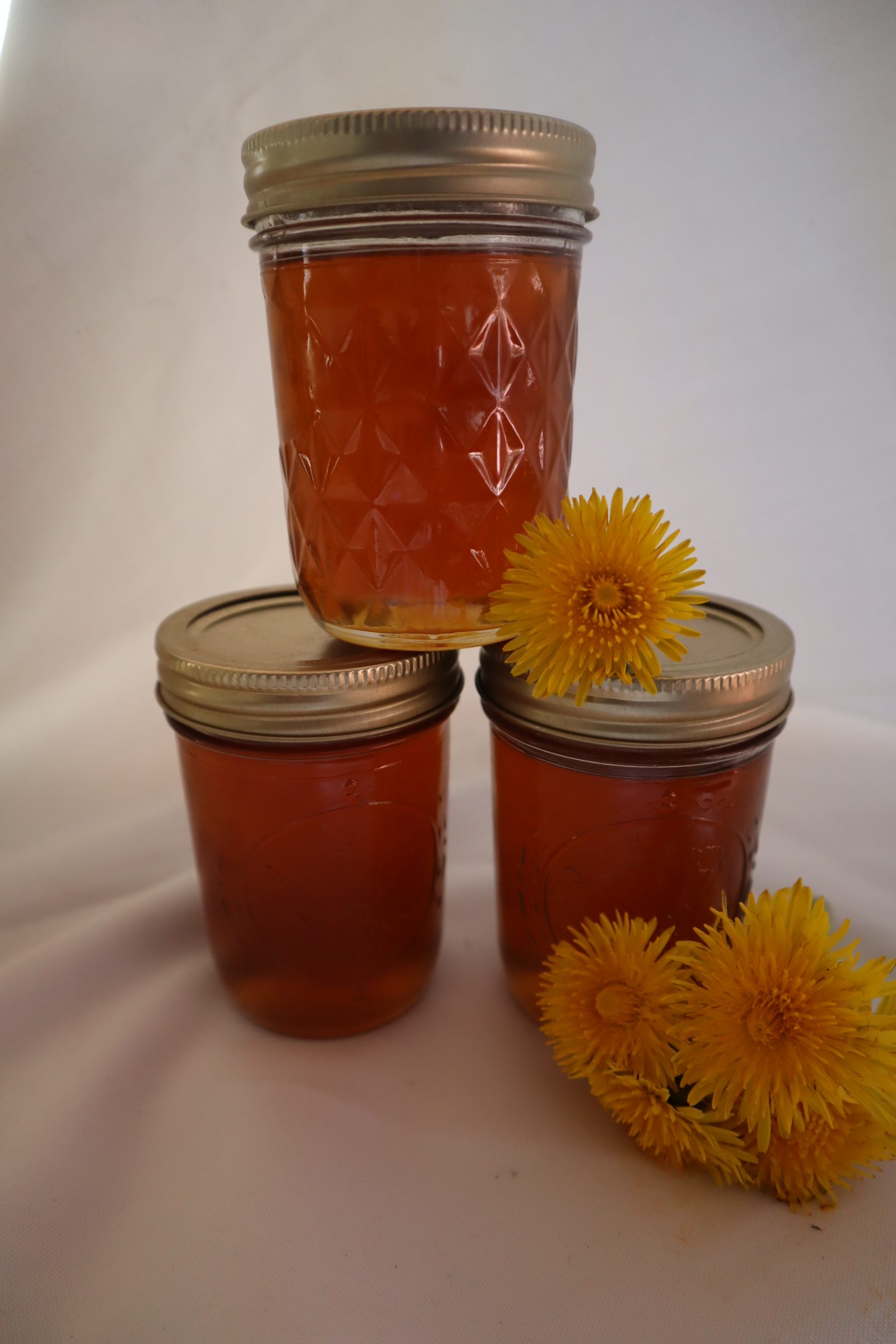 Sunshine aka Dandelion Jelly - Momma Bear 2 Many